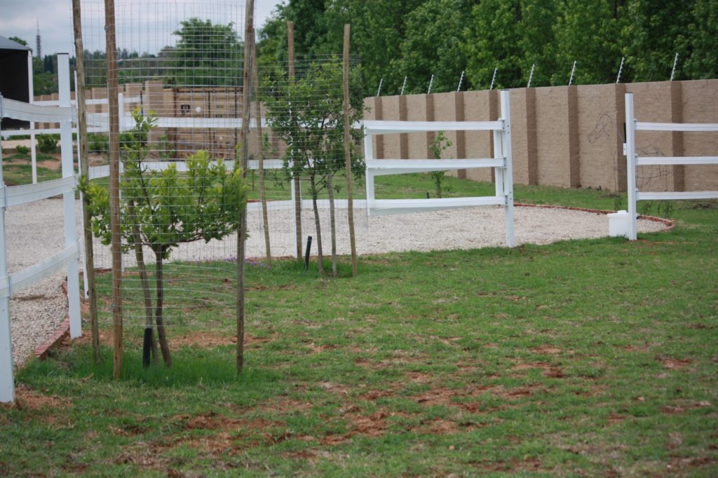 Safe electrifiable rail style permanent paddock fencing - safety4horses ...